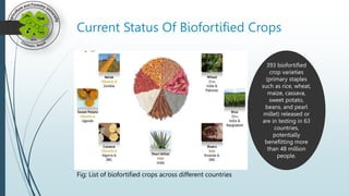 Wheat_Biofortification_Credit_Seminar_PK.pptx