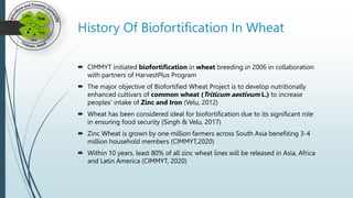 Wheat_Biofortification_Credit_Seminar_PK.pptx