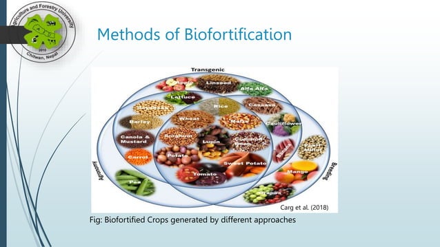 Wheat_Biofortification_Credit_Seminar_PK.pptx | Agriculture | Industries