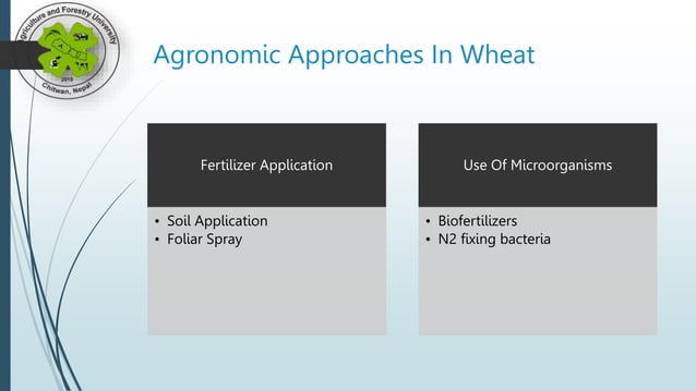 Wheat_Biofortification_Credit_Seminar_PK.pptx | Agriculture | Industries