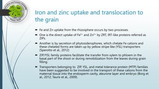 Wheat_Biofortification_Credit_Seminar_PK.pptx