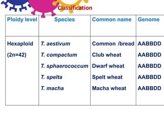 Wheat biosystematics | PPTX