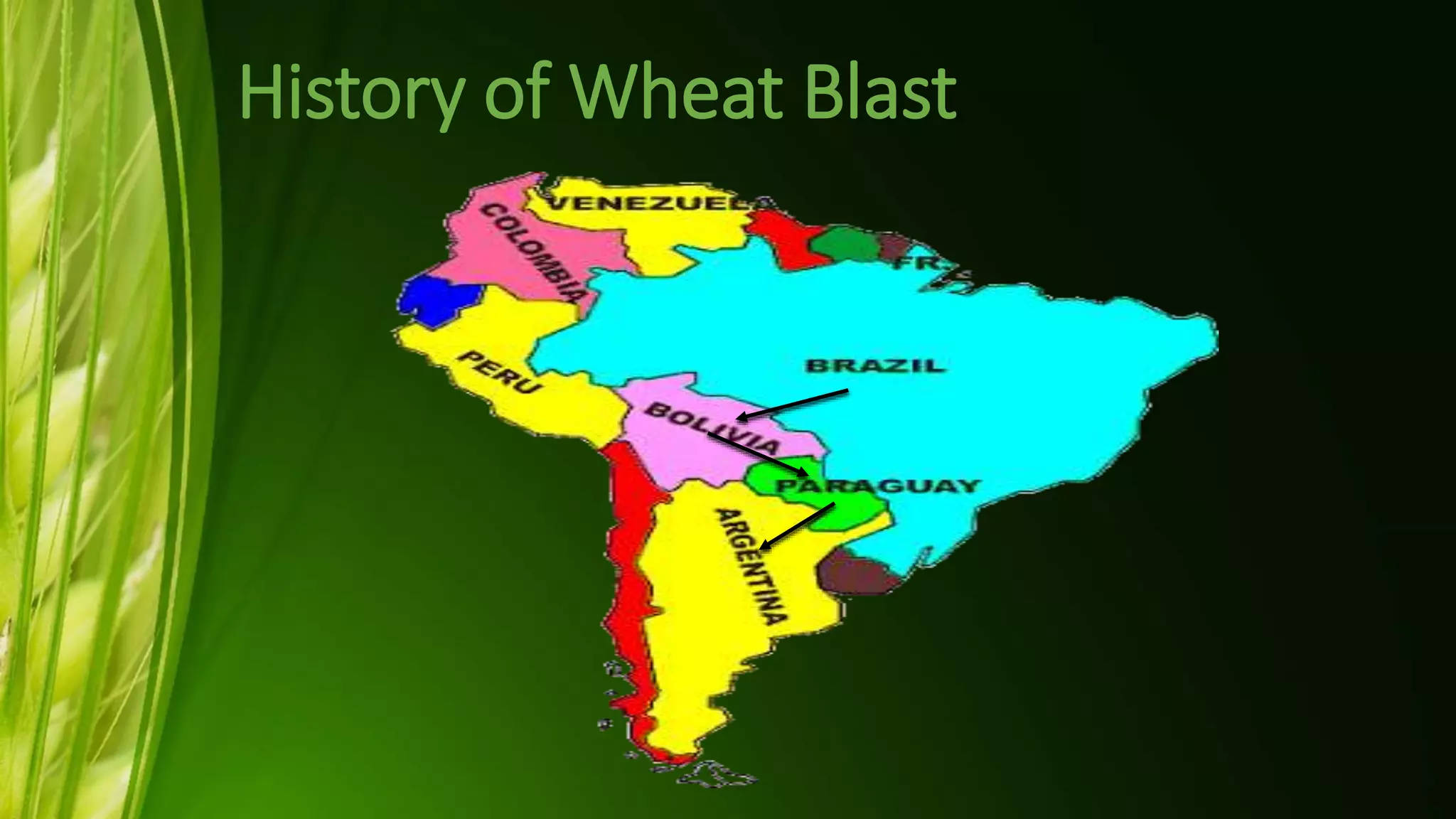 Wheat blast In Bangladesh | PPTX