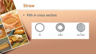 Wheat Descriptor.pptx