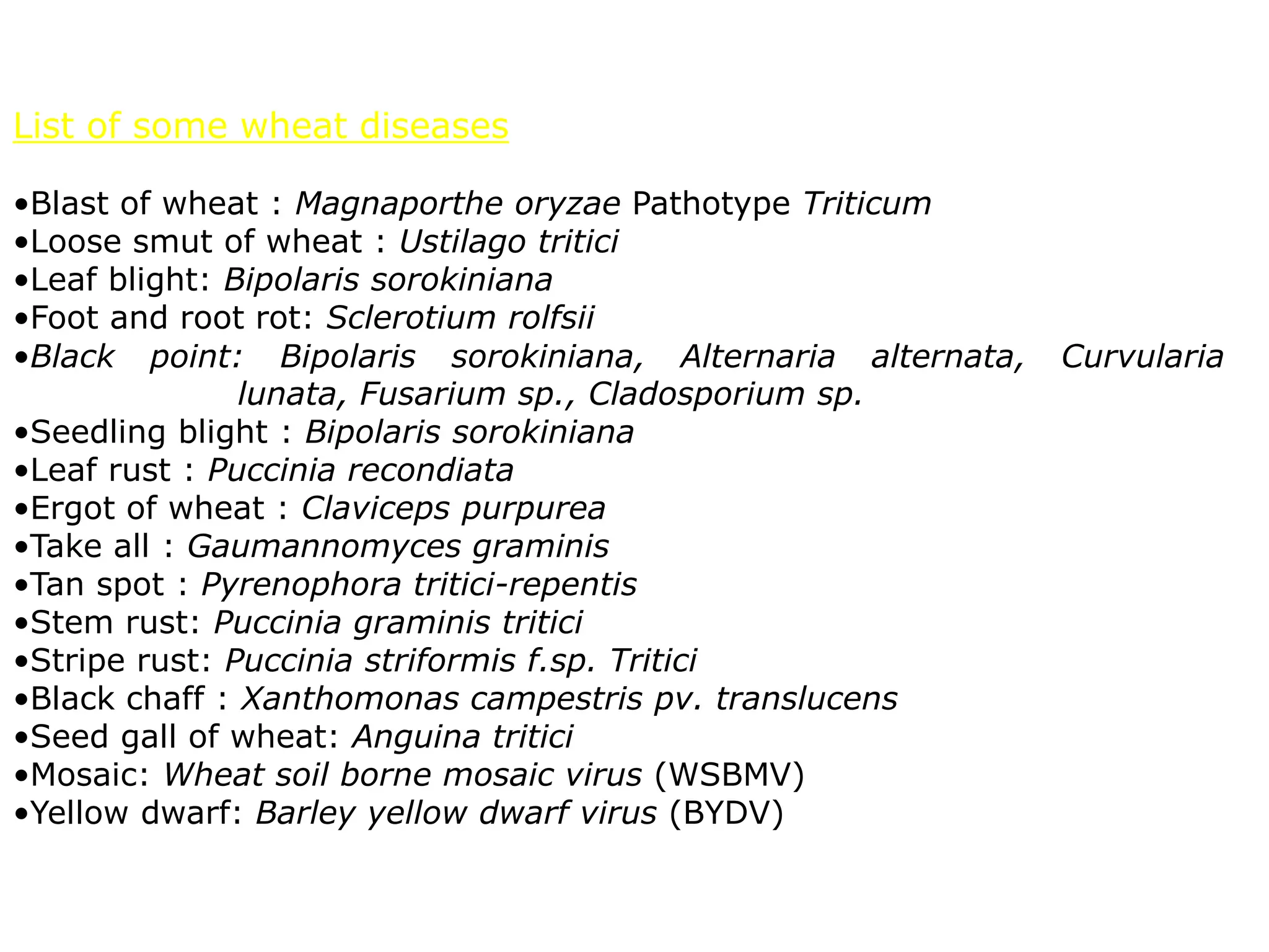 Wheat diseases | PPT