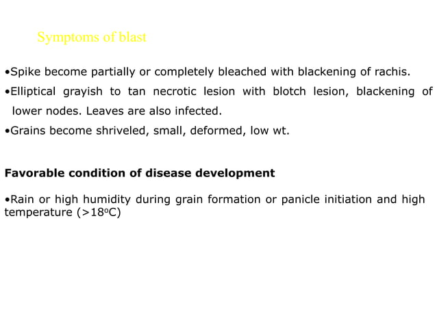 Wheat diseases | PPT