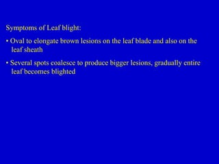 Wheat diseases | PPT