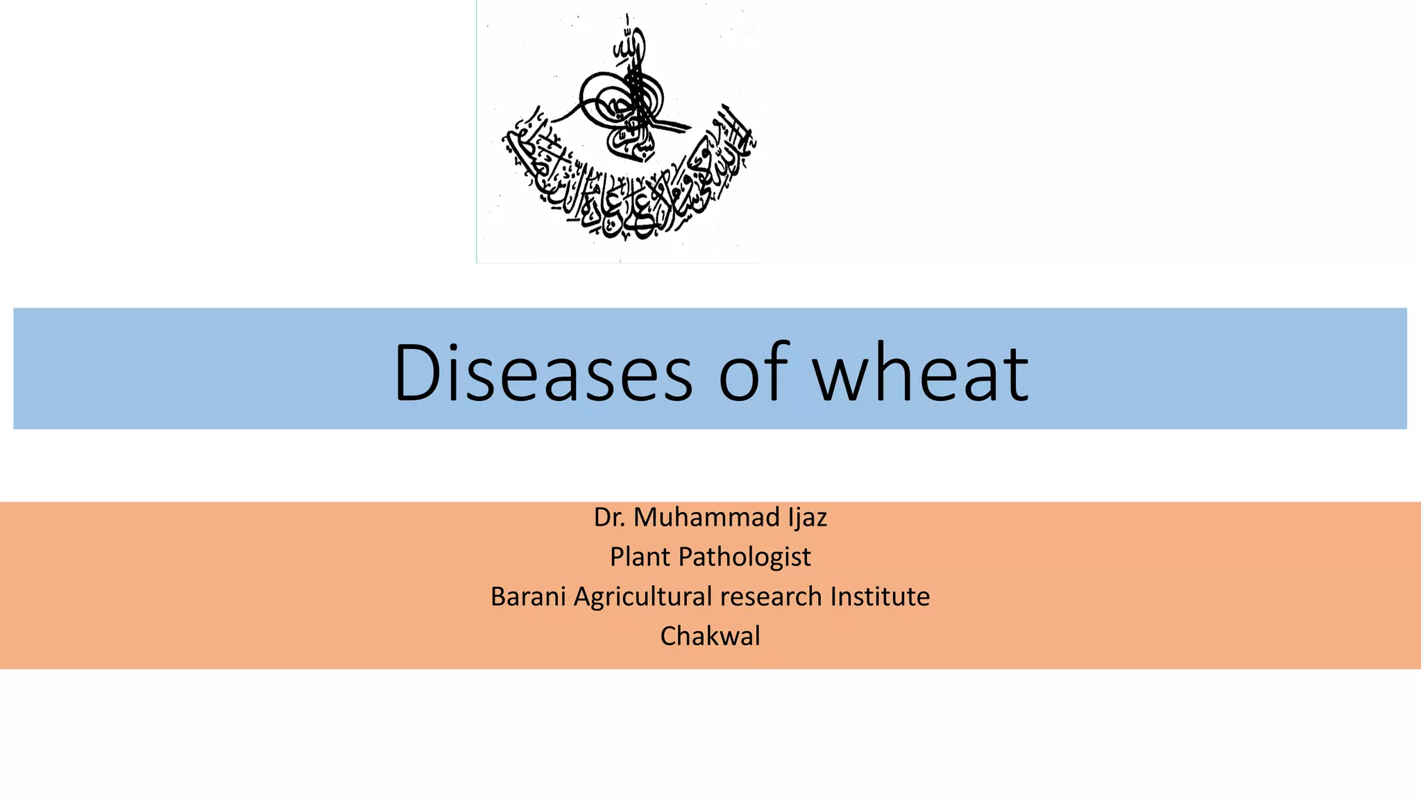 Wheat diseases.pdf