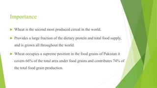 Wheat evolution | PPTX
