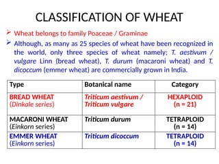 Wheat ppt prepared by Rahul Pathania (Final) | PPTX