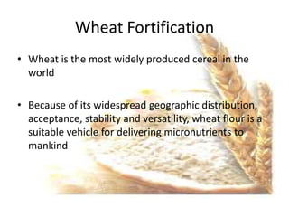 Wheat fortification in ahmedabad | PPTX