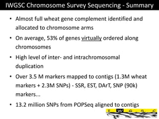 wheat genome project.pptx