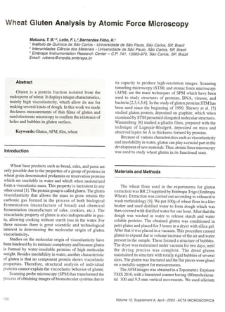 Wheat gluten analysis by afm (acta microscopica) | PDF