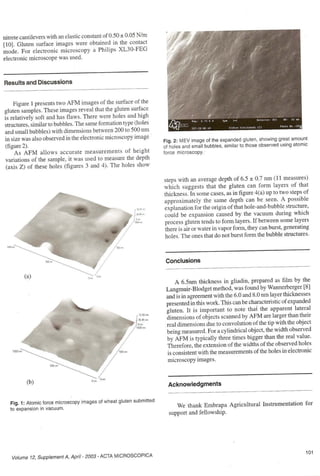 Wheat gluten analysis by afm (acta microscopica) | PDF