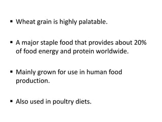 Wheat grain | PPTX