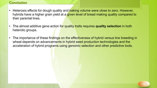 Wheat heterosis -Mohamed.pptx