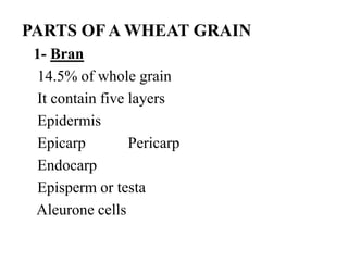 Wheat lecture.pptx