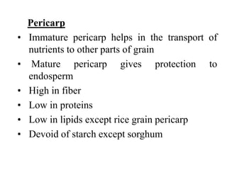 Wheat lecture.pptx | Gardening | Home & Garden