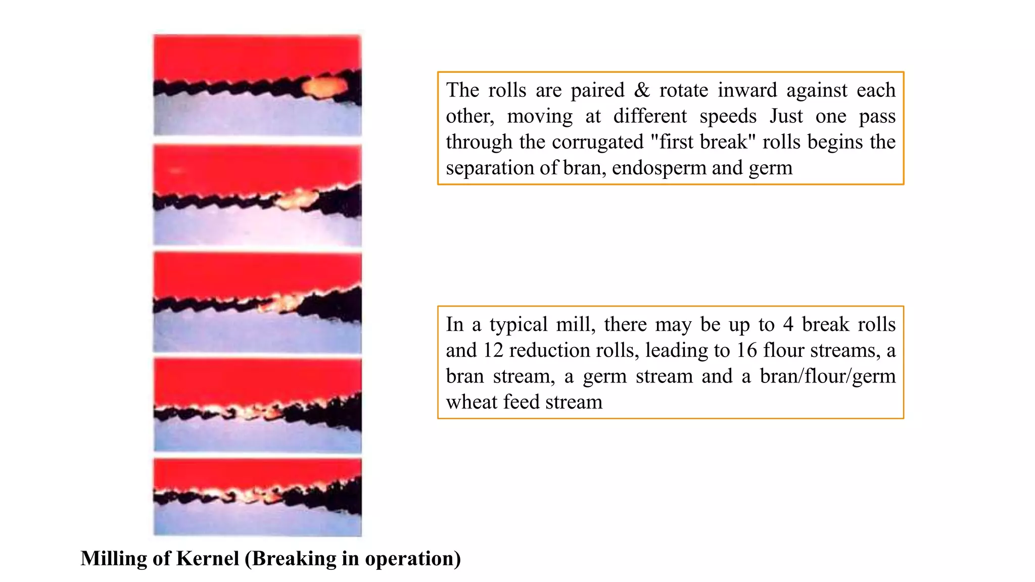Wheat milling | PPTX