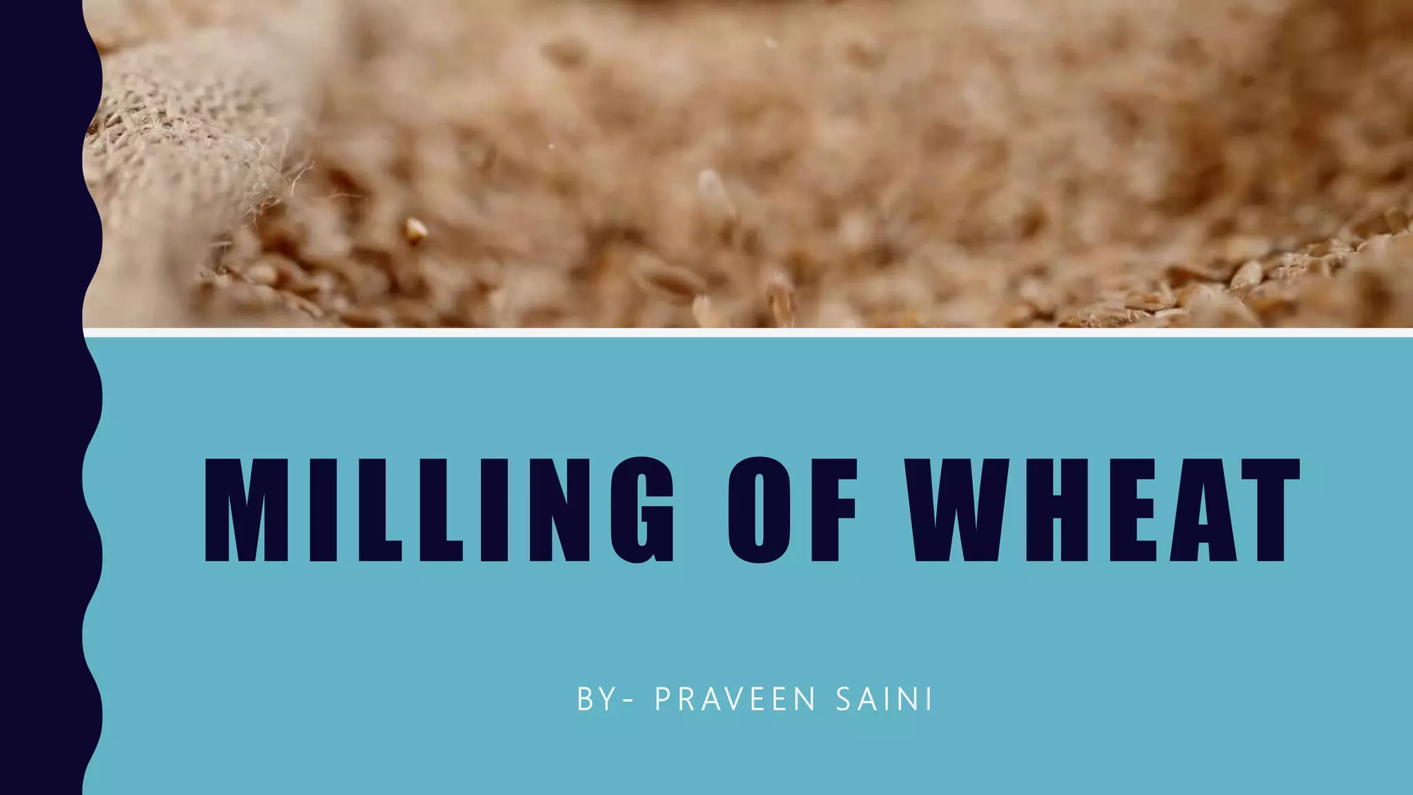 Wheat milling and bran.pptx