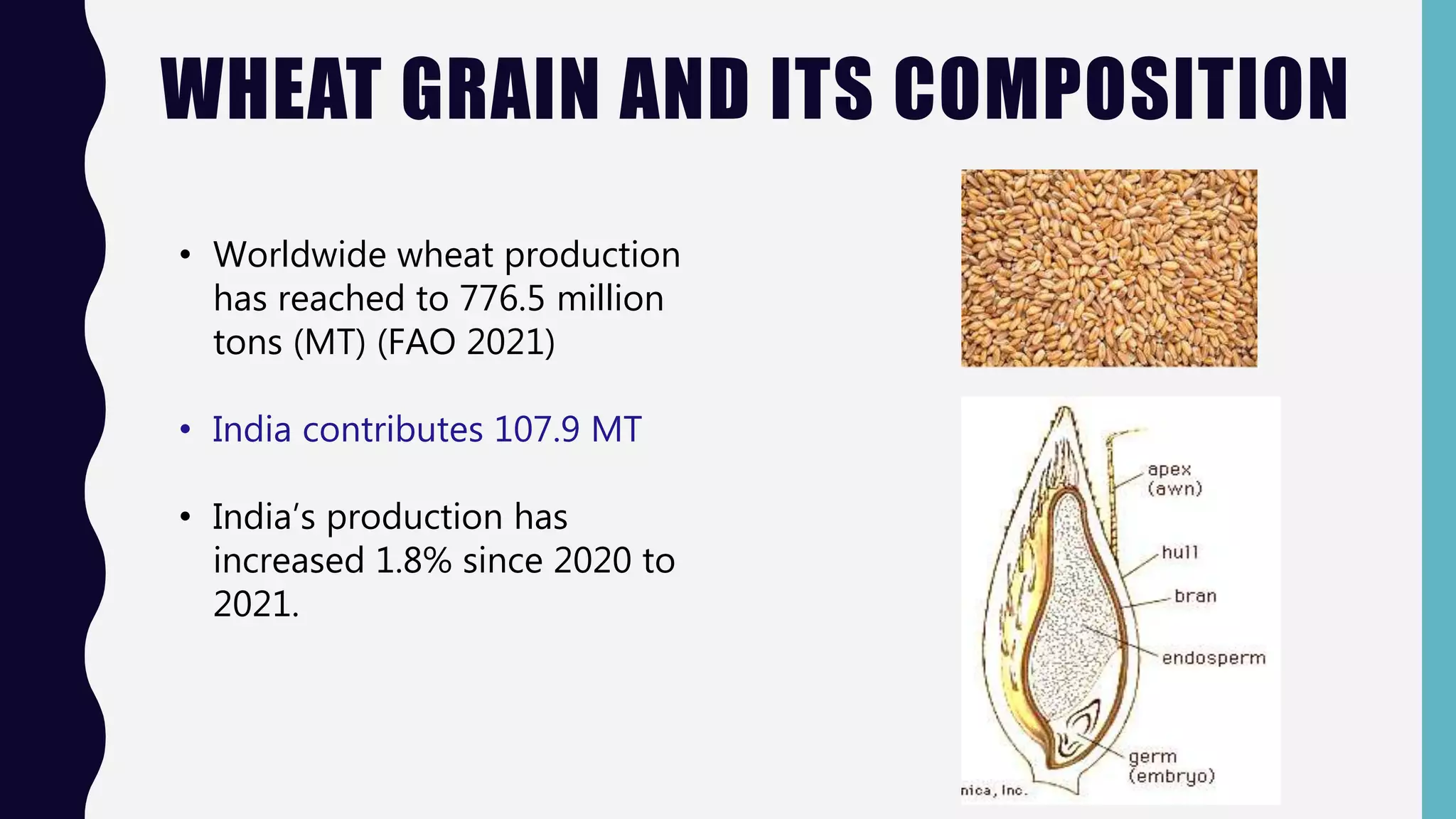 Wheat milling and bran.pptx