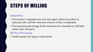 Wheat milling and bran.pptx