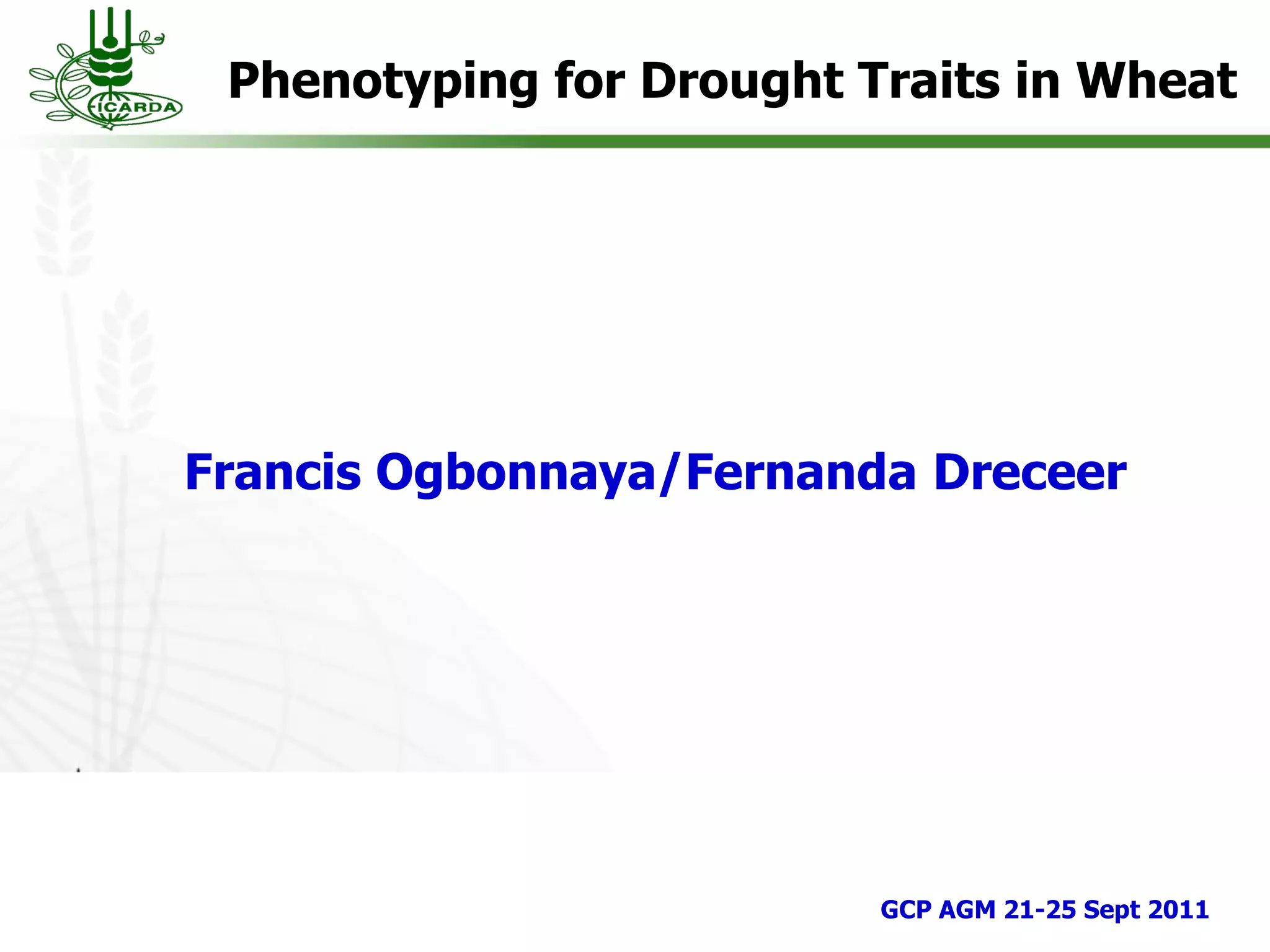 GRM 2011: Phenotyping wheat for drought tolerance | PPT