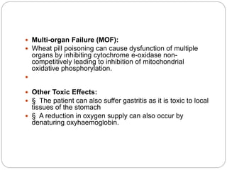 Wheat pills poisoning by dr sarfraz.abs.gujrat. | PPTX