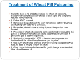 Wheat pills poisoning by dr sarfraz.abs.gujrat. | PPTX
