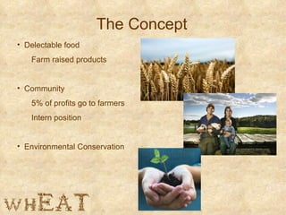 Wheat Powerpoint | PPT | Food & Drink