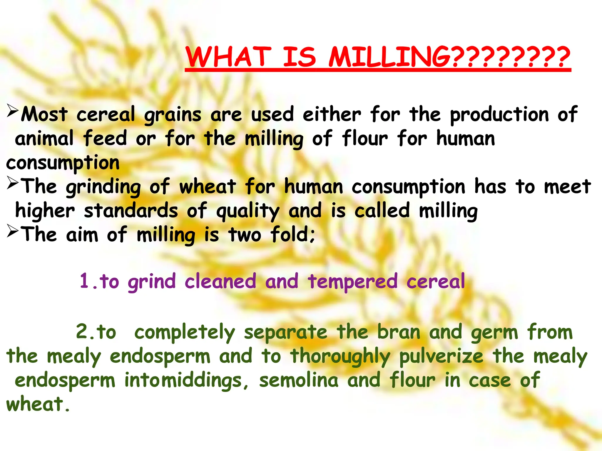 overview on the cereals like wheat ppt.ppt