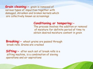 overview on the cereals like wheat ppt.ppt