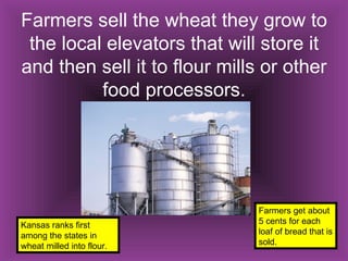 Wheat Presentation | PPT