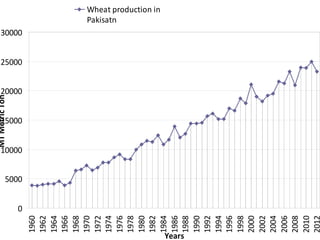 Wheat production in pakistan presentation | PPT