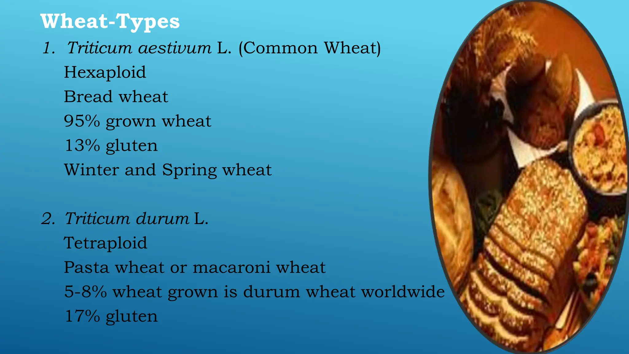 Wheat Production Technology for Punjab .pptx