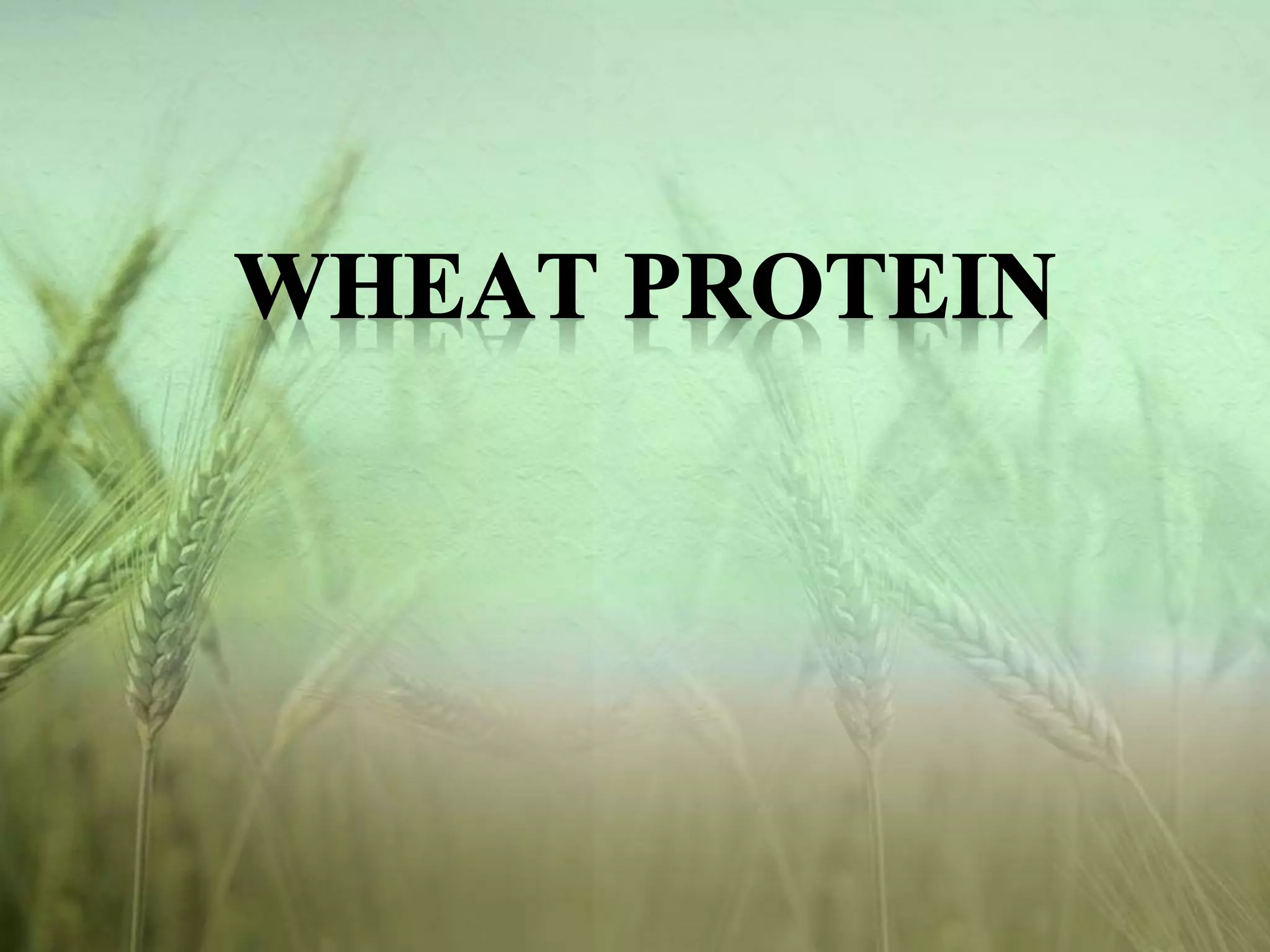 WHEAT_PROTEIN.ppt