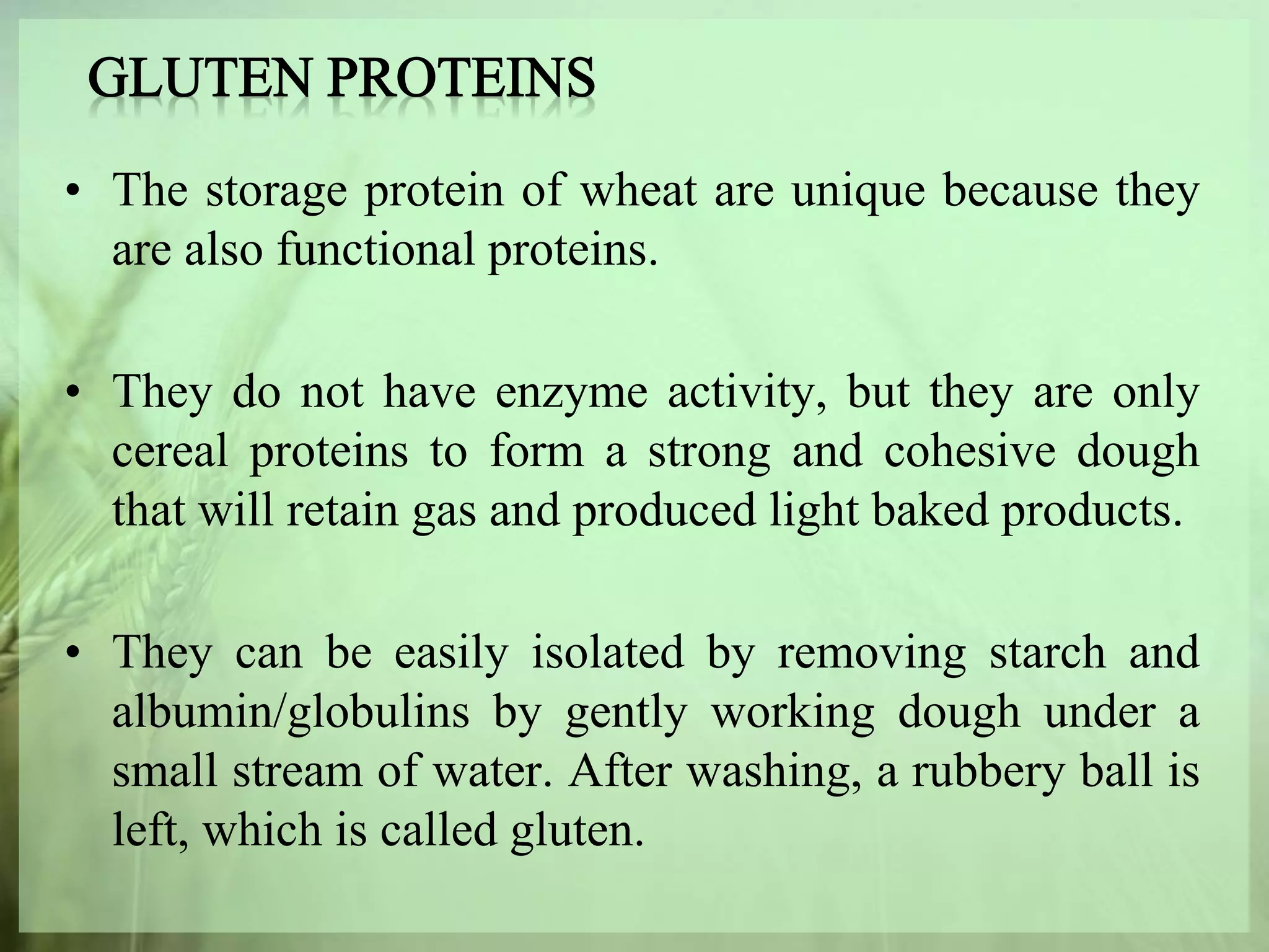 WHEAT_PROTEIN.ppt