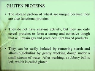 WHEAT_PROTEIN.ppt