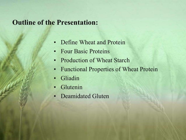 WHEAT_PROTEIN.ppt