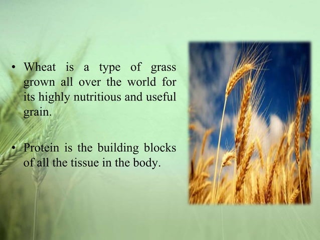 WHEAT_PROTEIN.ppt
