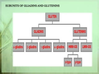 WHEAT_PROTEIN.ppt