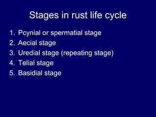 Wheat rust - Puccinia sp.. | PPT