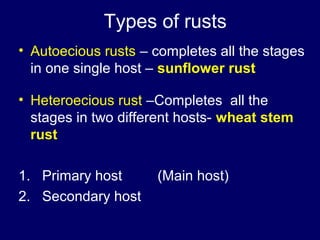 Wheat rust - Puccinia sp.. | PPT