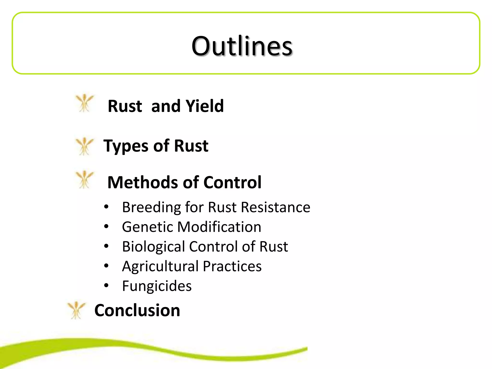 Wheat Rust Management | PPTX