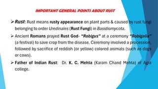 Wheat Rust.pdf by Anil dhayal SKN jobner | PDF | Gardening | Home & Garden