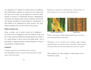 wheat rust Effect of rust on wheat-english.pptx
