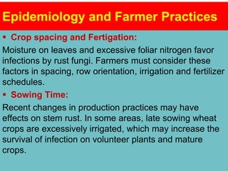 Wheat Rust Latest | PPT | Gardening | Home & Garden