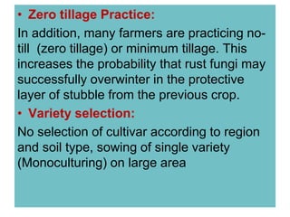 Wheat Rust Latest | PPT | Gardening | Home & Garden
