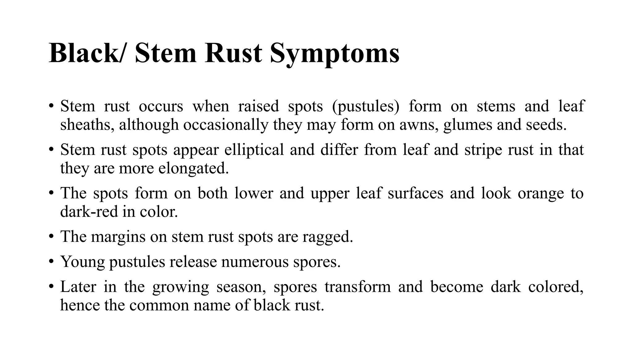 Wheat Rusts Management Strategies.pptx