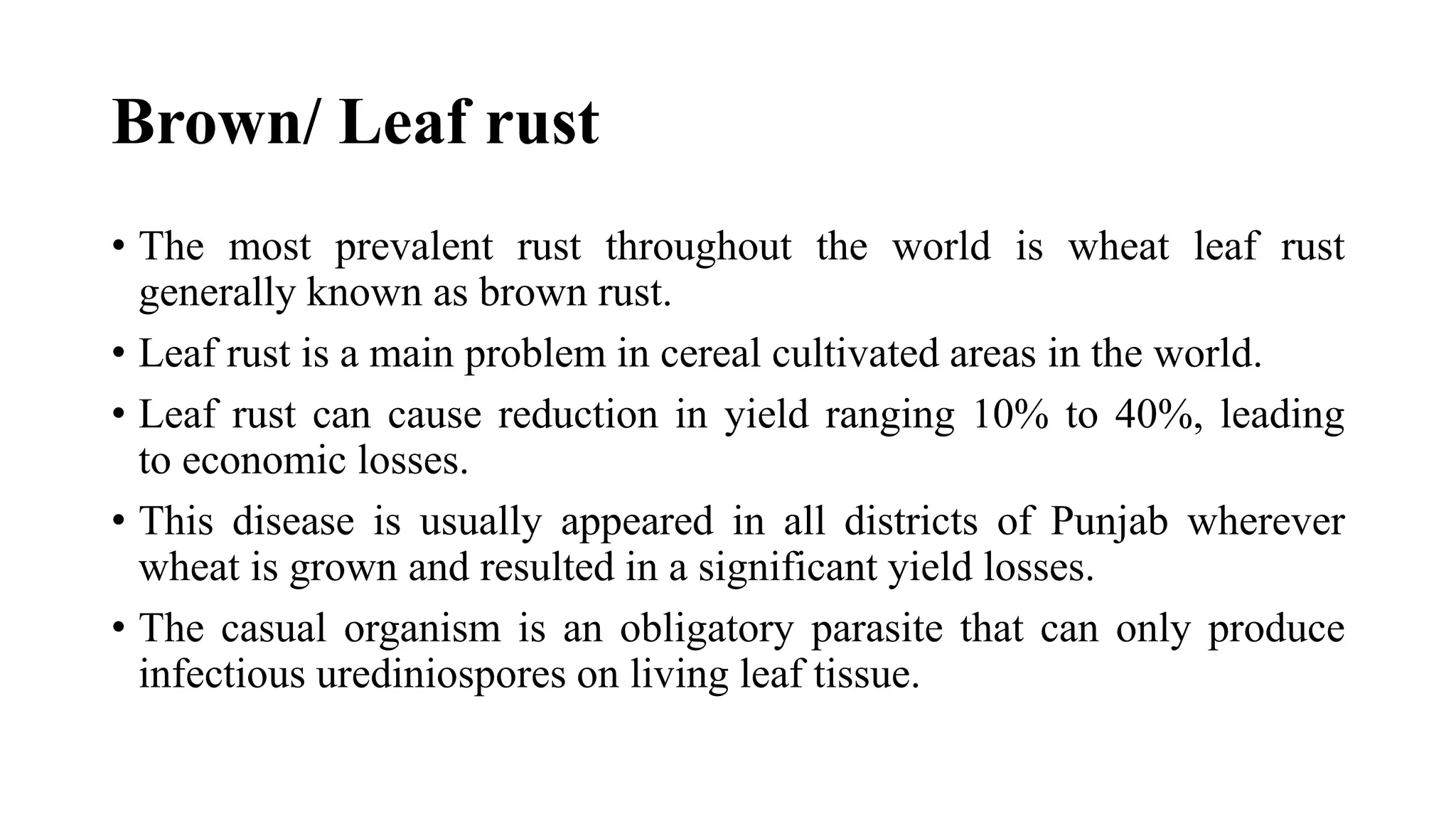 Wheat Rusts Management Strategies.pptx
